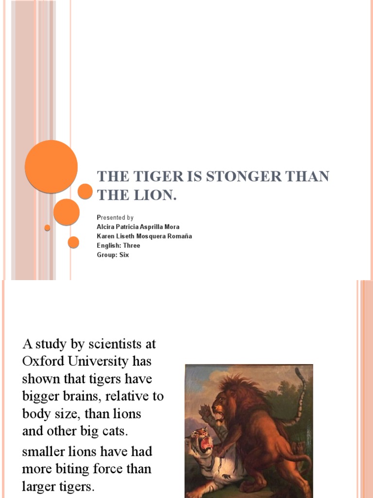 POSTER LIONS Vs TIGERS | PDF | Wellness