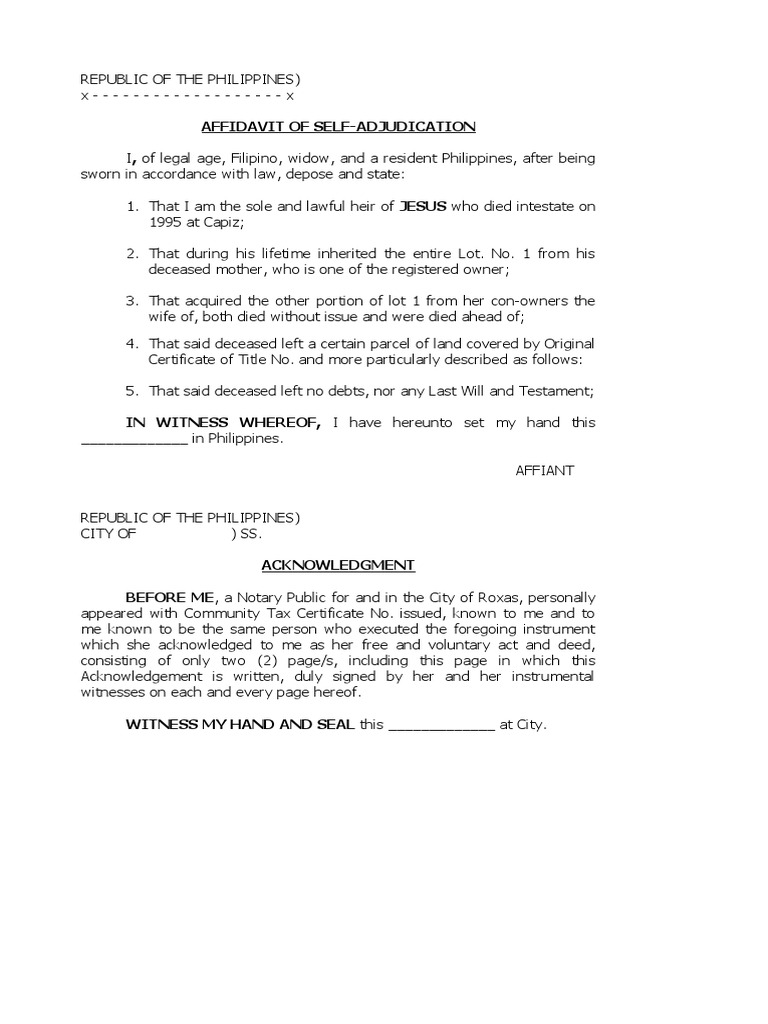 Affidavit of Adjudication | PDF