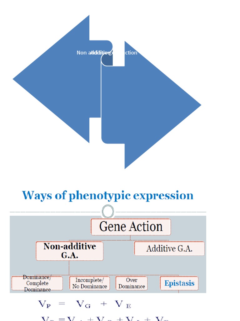 Additive vs Non-Additive Gene Action | PDF