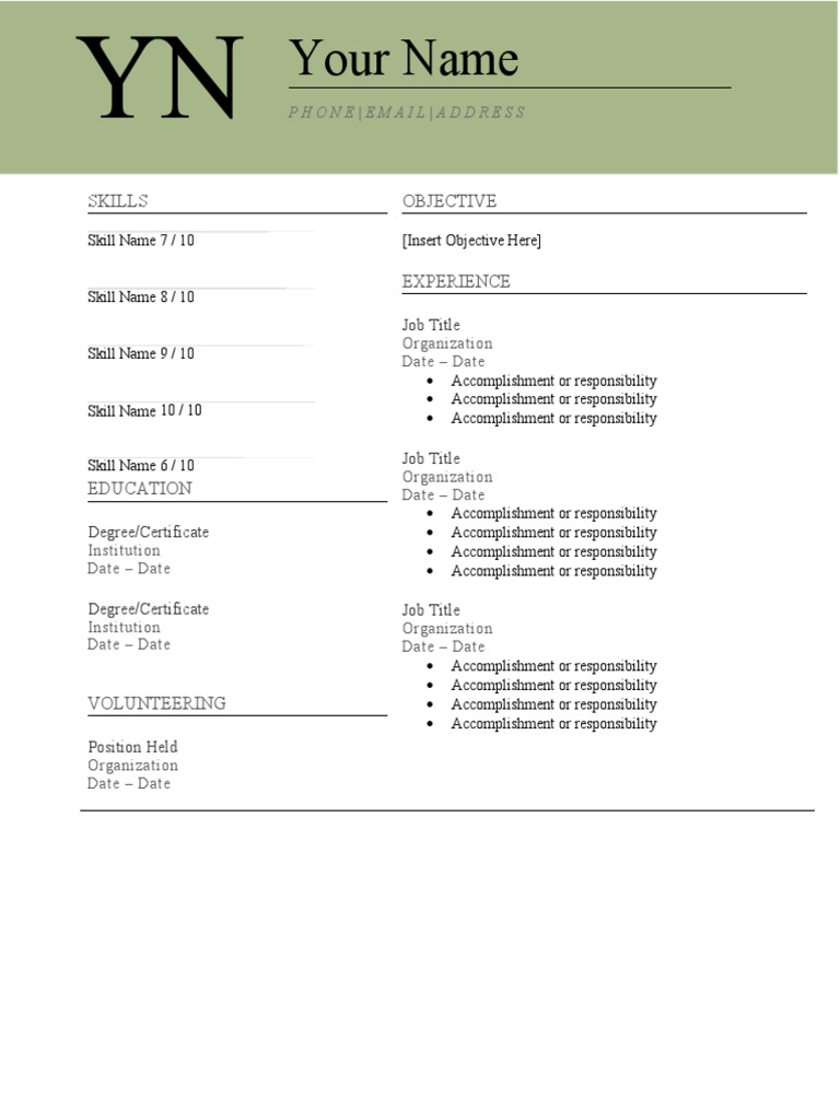 Bold Serif Resume Template | PDF