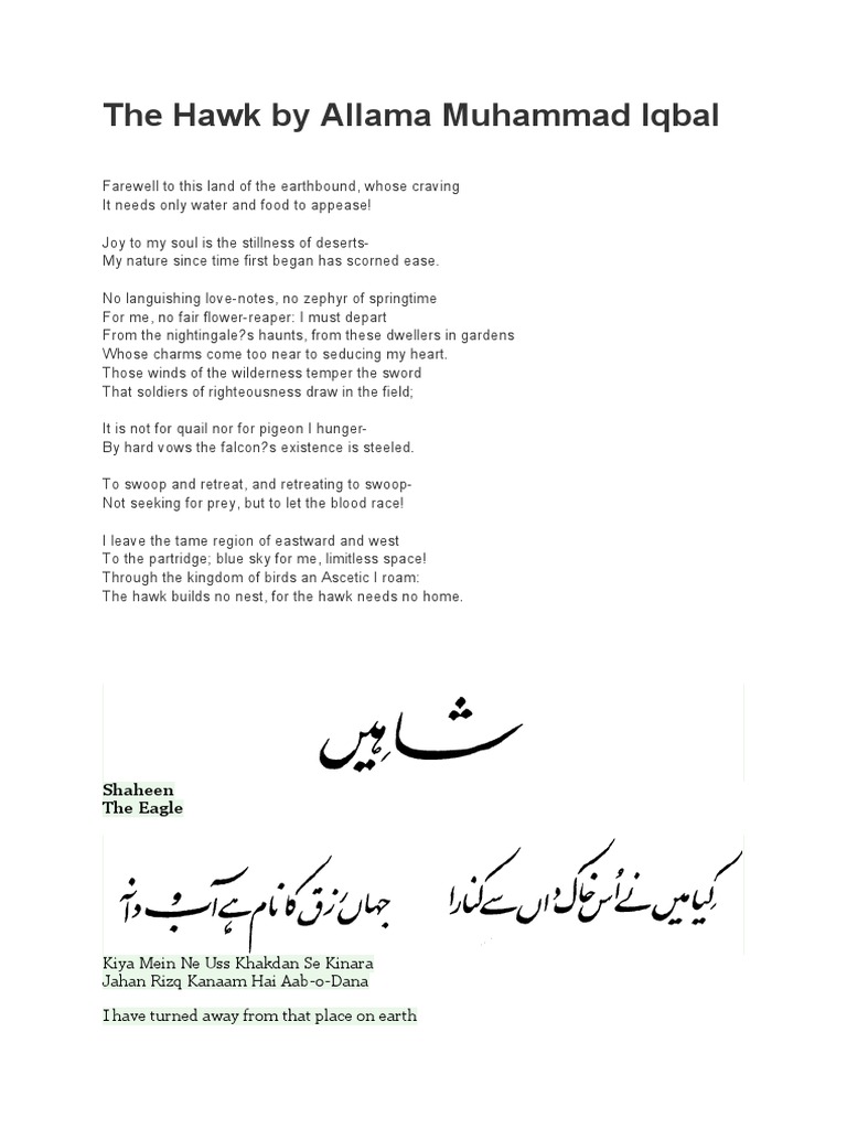 The Hawk by Iqbal | PDF | Paravians | Birds