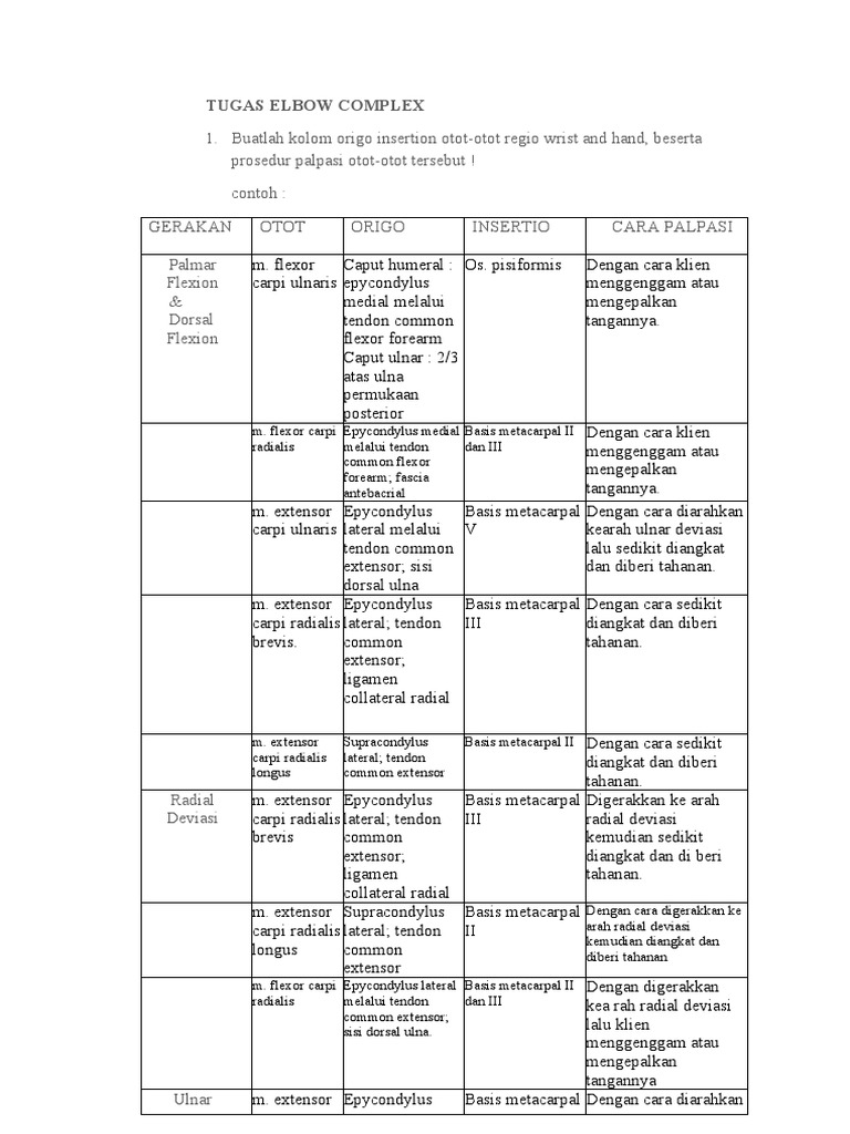 Tugas Regio Wrist and Hand | PDF | Sains & Matematika
