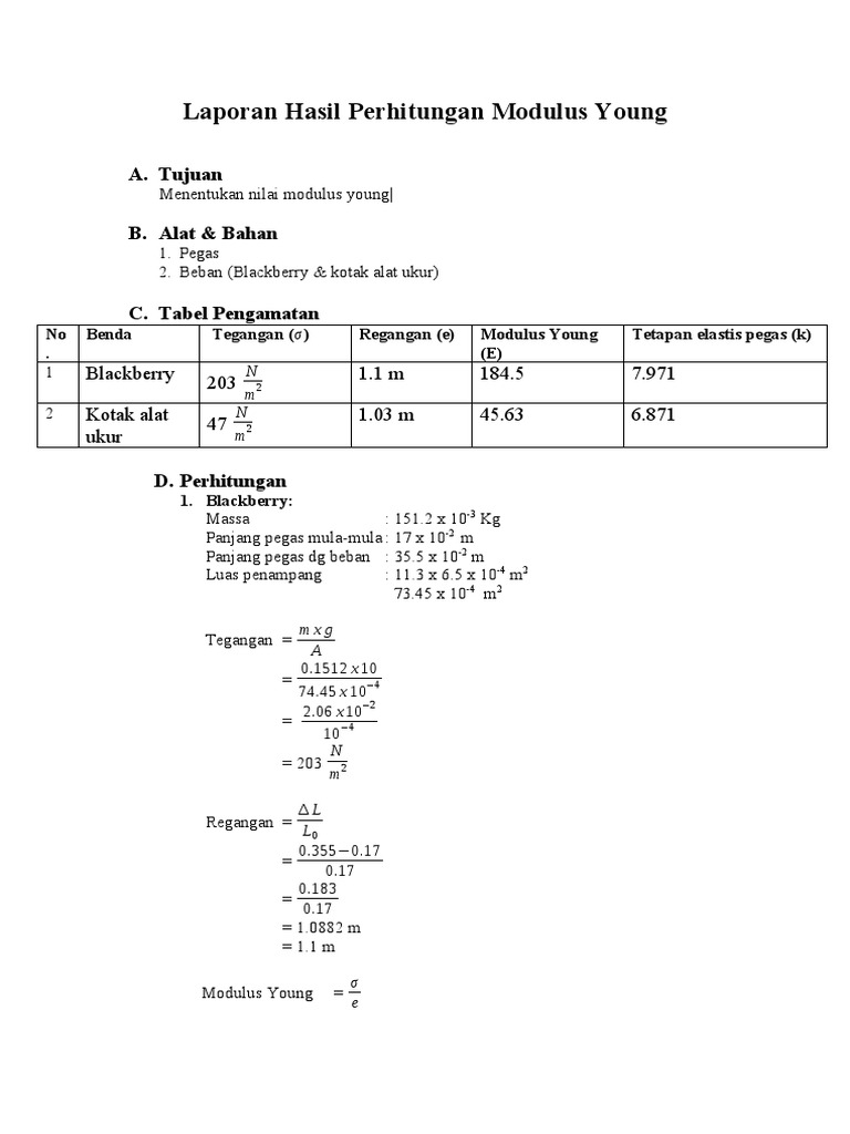 Laporan Hasil Perhitungan Modulus Young | PDF