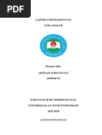 LP Combustio Grade II | PDF | Kesehatan Holistik | Teknologi & Rekayasa