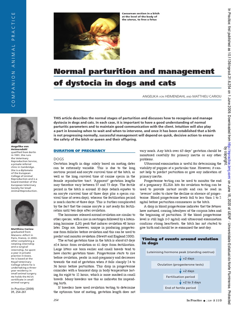 Normal Parturition and Management of Dystocia in Dogs and Cats | PDF ...