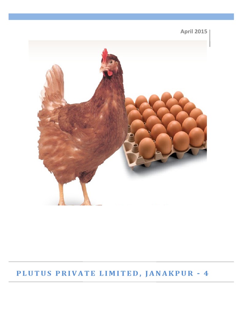 Layer Business Proposal | PDF | Poultry Farming | Chicken