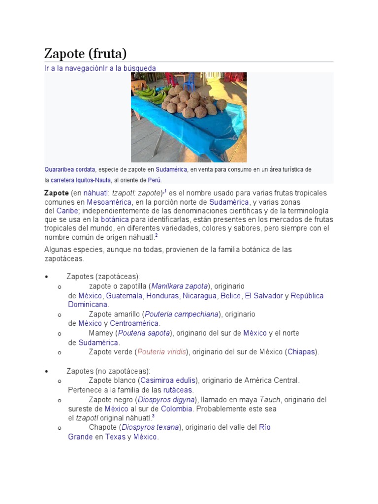 Zapote | PDF | Plantas comestibles | Plantas Domesticadas