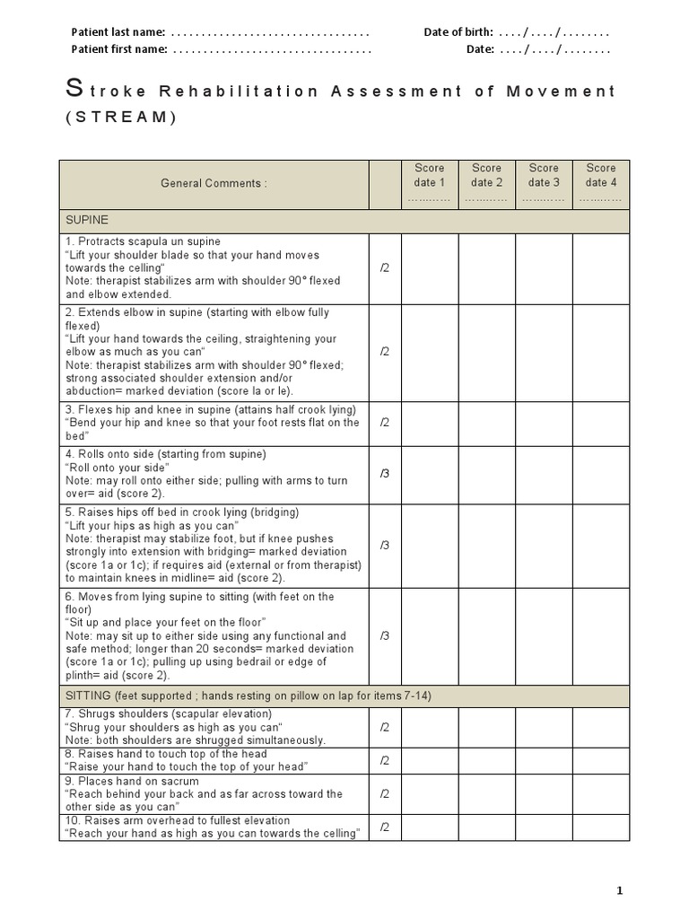 Patient Rehab Assessment Score Sheet | PDF | Anatomical Terms Of Motion ...