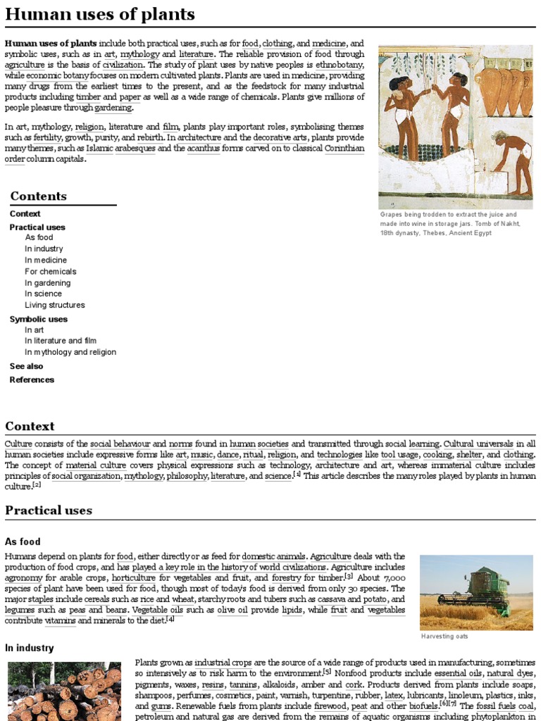 Human Uses of Plants 2nd | PDF | Plants