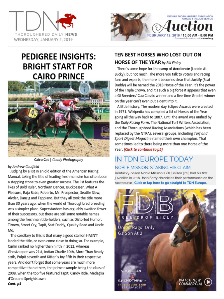 Pedigree Insights: Bright Start For Cairo Prince: in TDN Europe Today ...