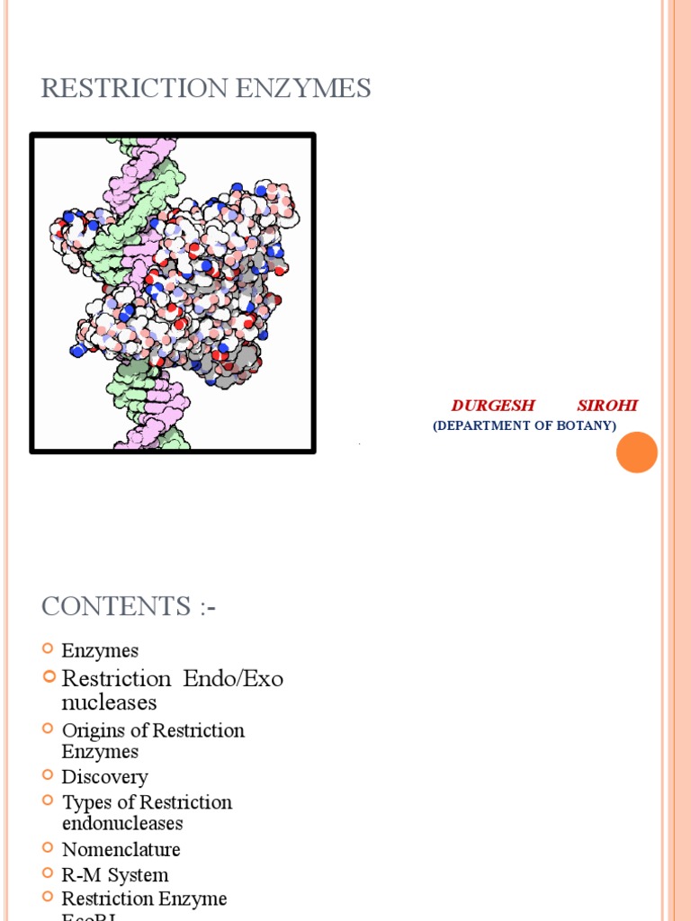 Restriction Enzymes: Durgesh Sirohi | PDF | Restriction Enzyme | Enzyme