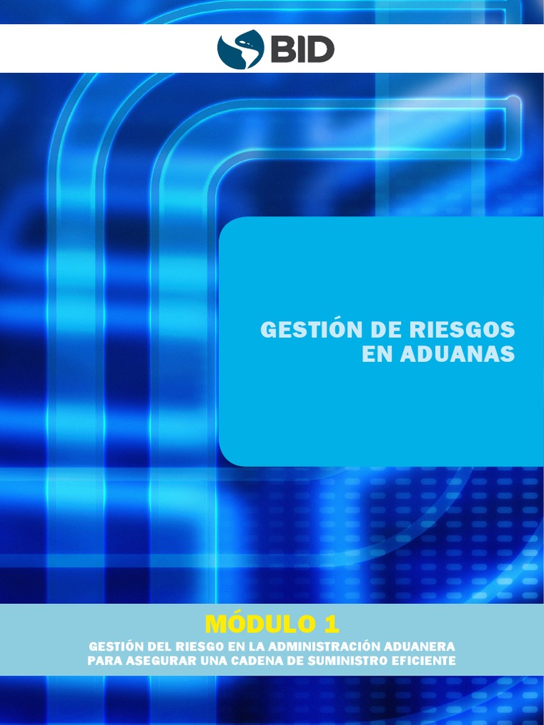 Gestión de Riesgos en Aduanas - BID | PDF | aduana | El comercio ...