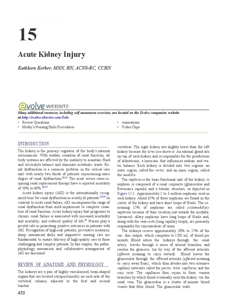 6 Mary Lou Sole, Deborah Goldenberg Klein, Marthe J. Moseley - Urologi ...