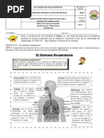 Sistema Respiratorio para Quinto Grado | PDF | Pulmón | Sistema ...