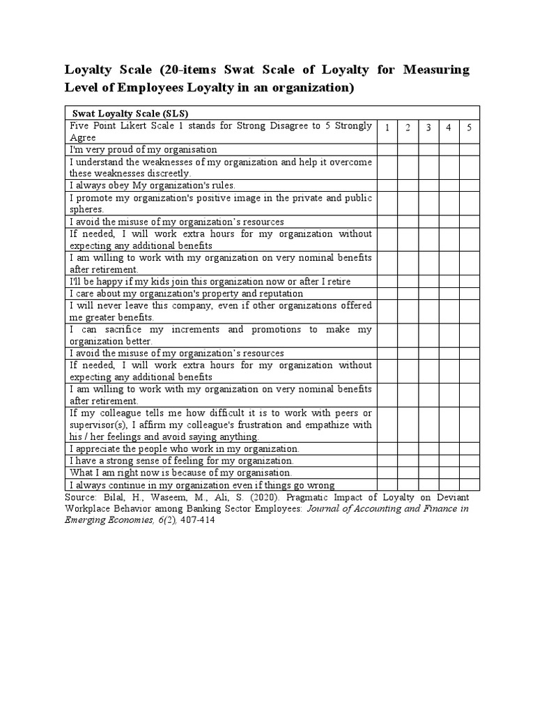 Loyalty Scale | PDF