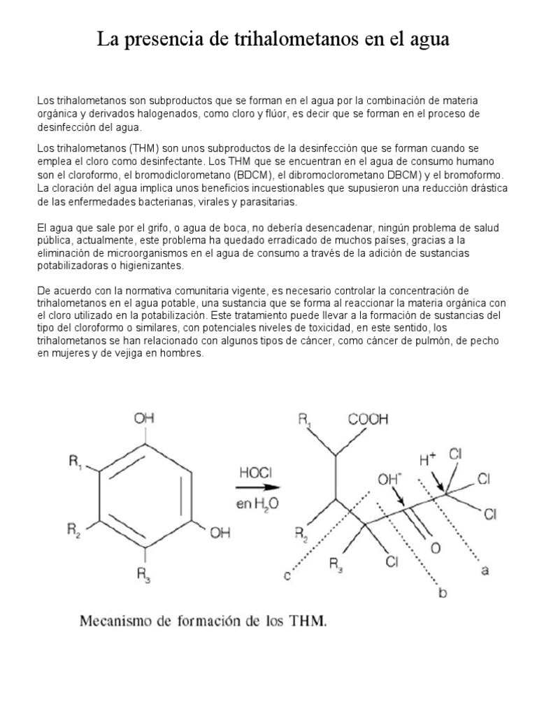 La Presencia de Trihalometanos en El Agua | PDF