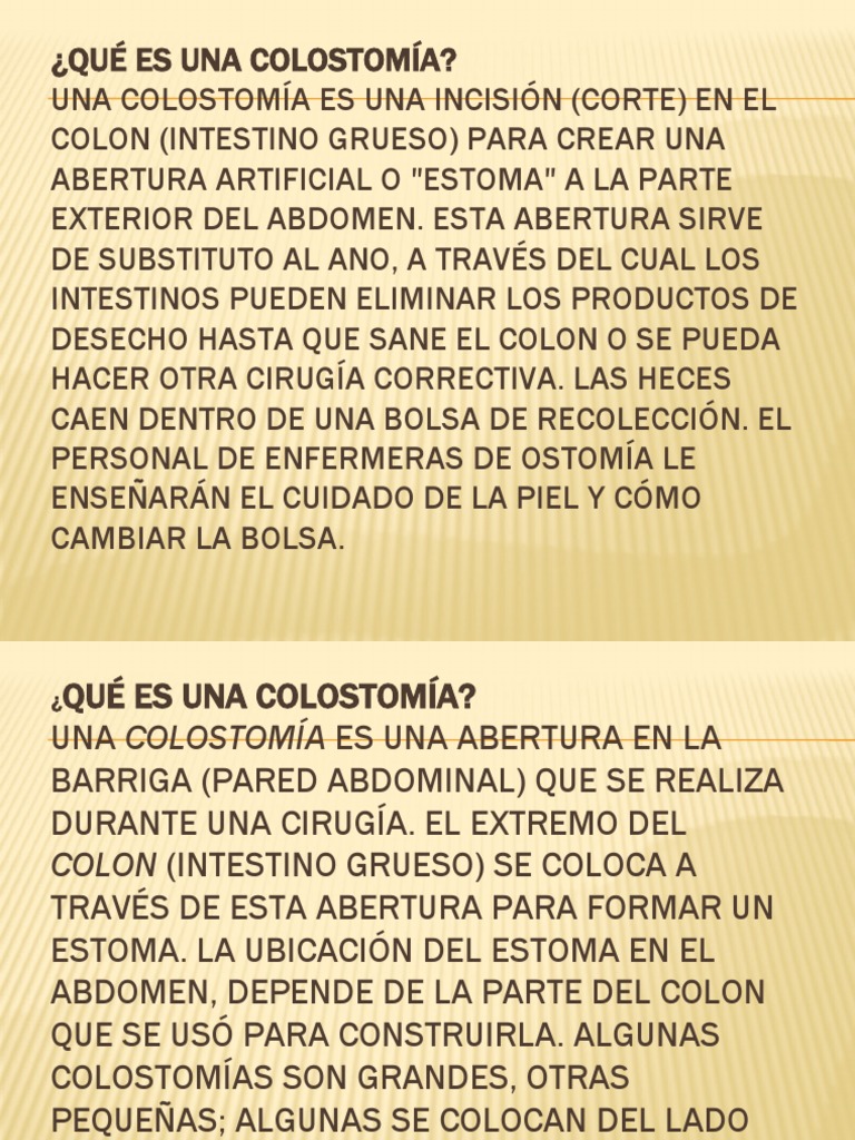 Guía Básica sobre Colostomía | PDF