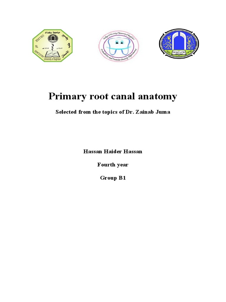 Primary Root Canal Anatomy | PDF