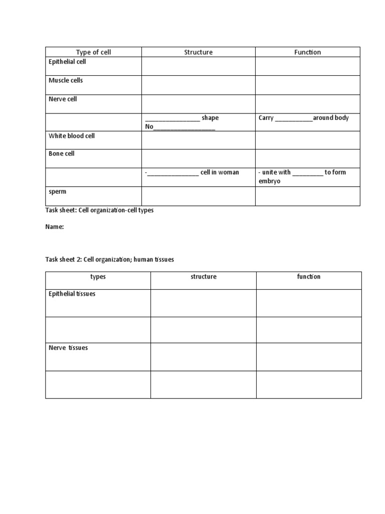 Human Cell Types & Functions Guide | PDF