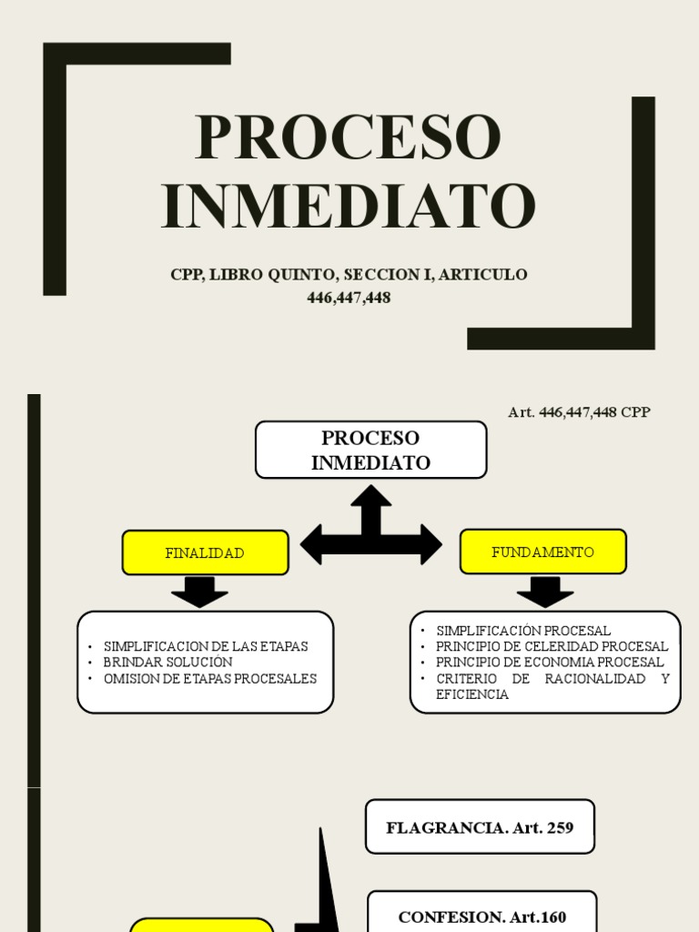 Proceso Inmediato | PDF