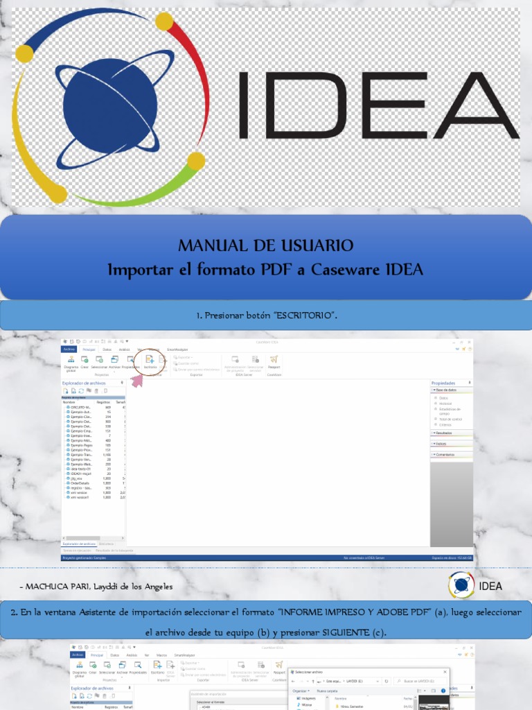 Importar PDF a Caseware IDEA: Guía Rápida | PDF