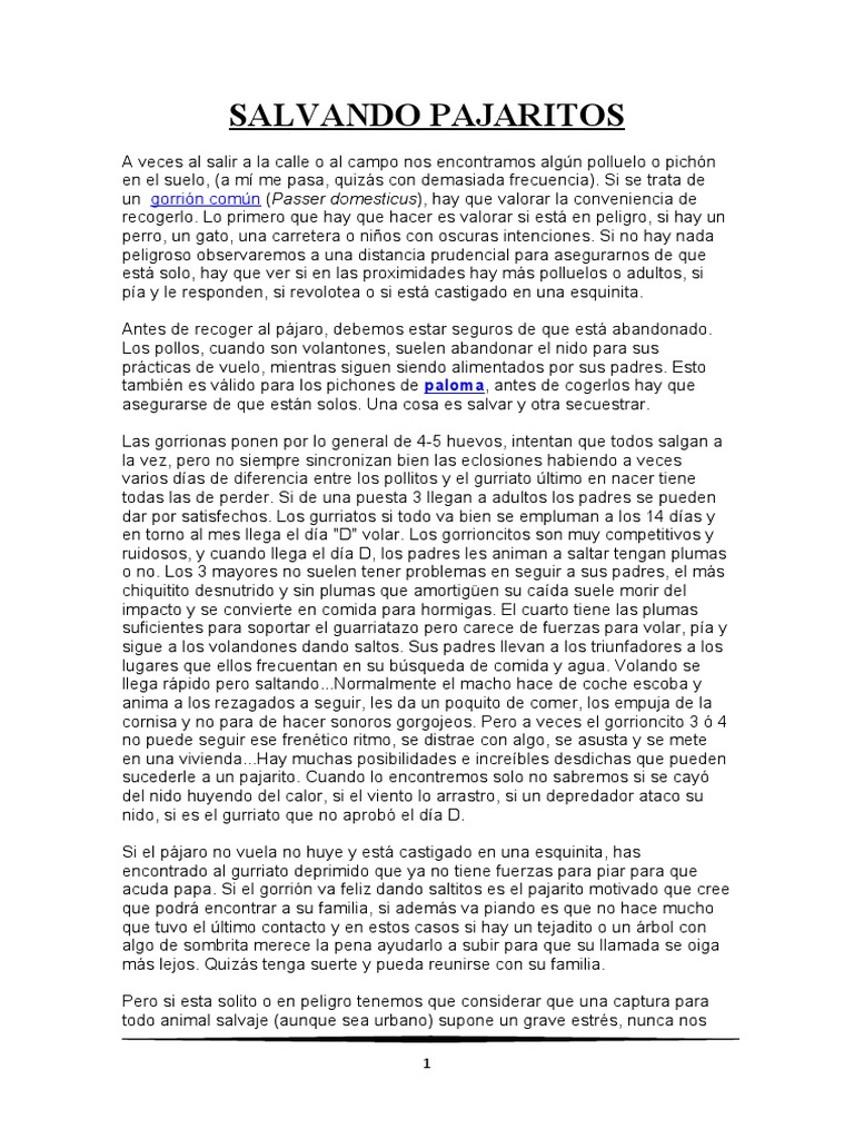 Salvando Pajaritos | PDF | Aves | Huevo como alimento