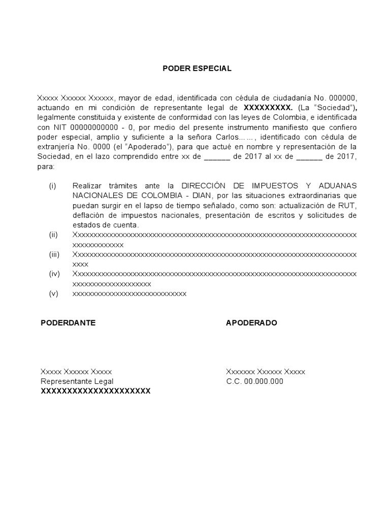 Modelo de Poder Especial para Varias Actividades | PDF