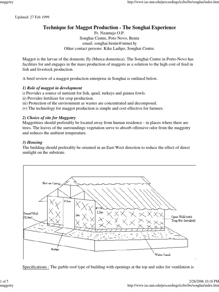 Maggot Production Techniques at Songhai | PDF | Fly | Agriculture
