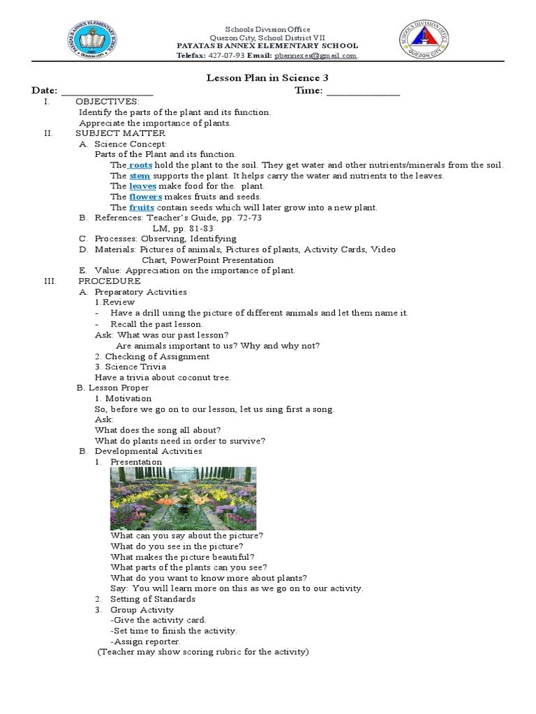 Parts and Functions of Plants for Grade 3 | PDF | Science | Science And ...