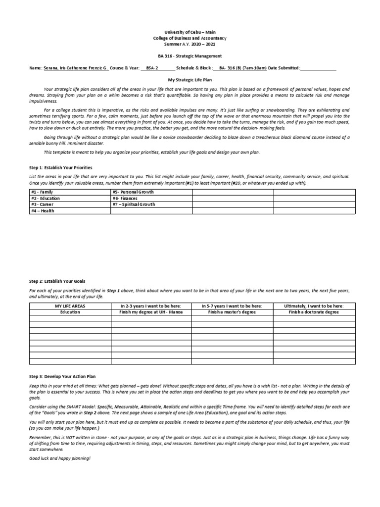 Strategic Life Plan Template Guide | PDF | Career & Growth