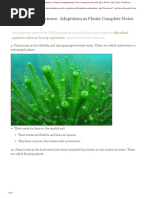 Chapter Adaptation in Plants Questions and Answers of Class 4 Science ...