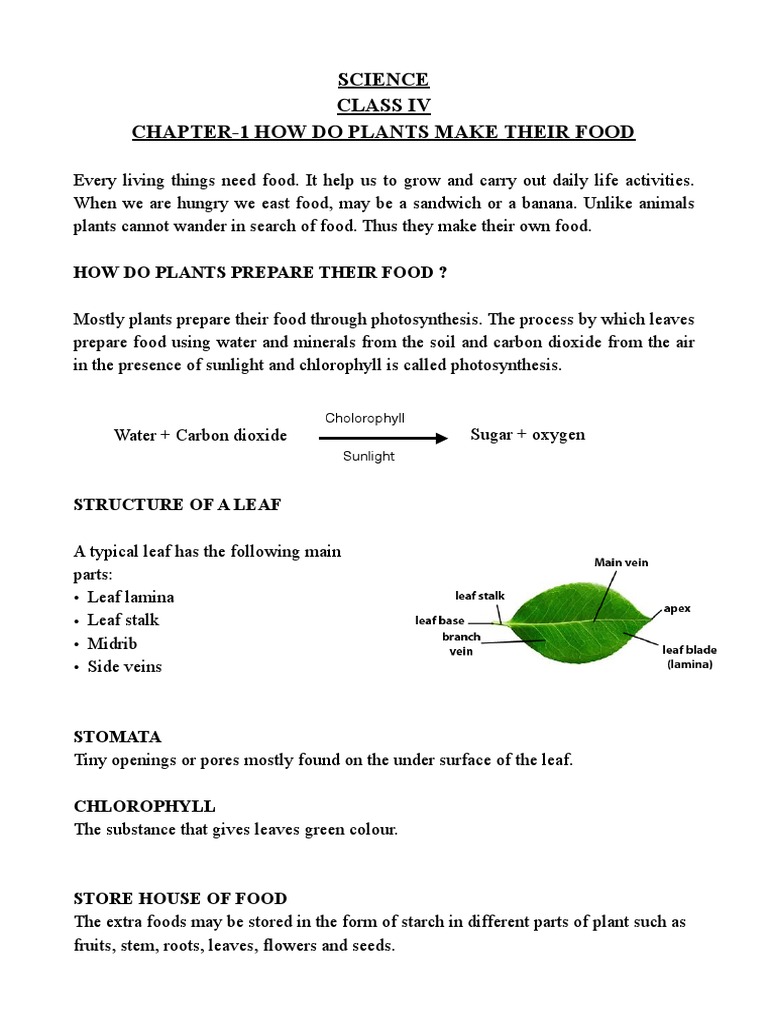 Class IV CHAPTER 1 SCIENCE | PDF