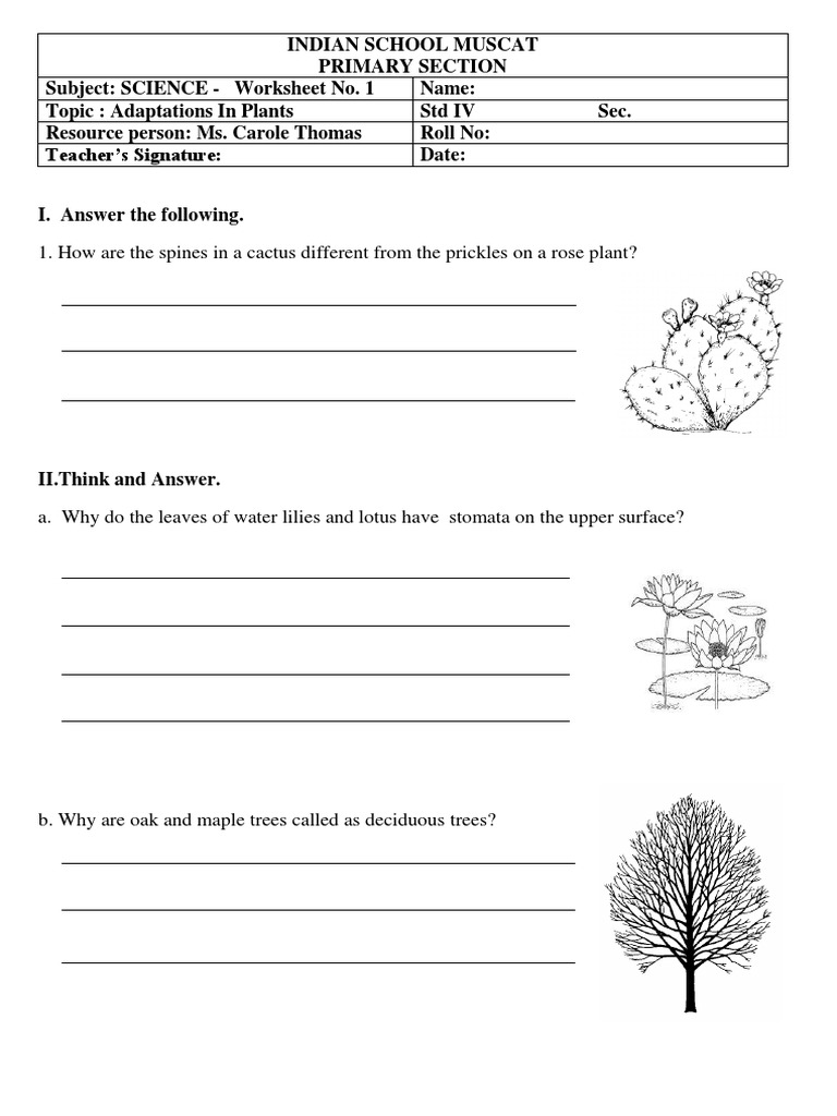 Class 4 Plant Adaptation Worksheet | PDF