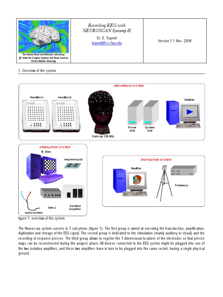 Eeg Neuroscan | PDF | Electroencephalography | Syringe
