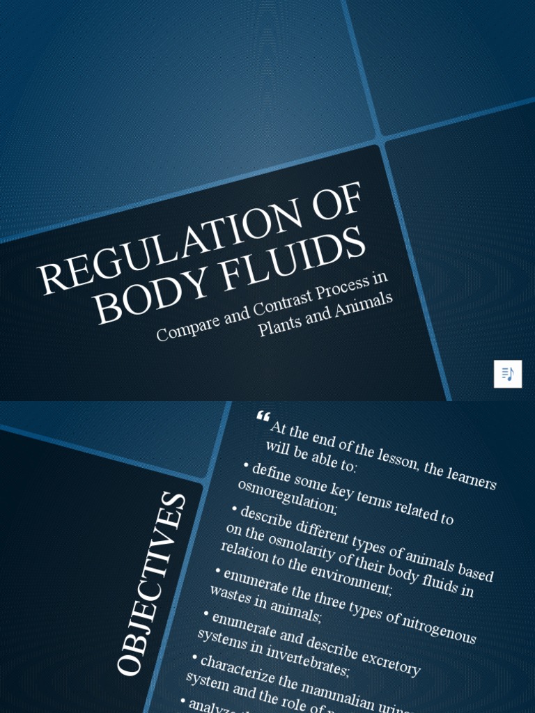 Regulation of Body Fluids | PDF