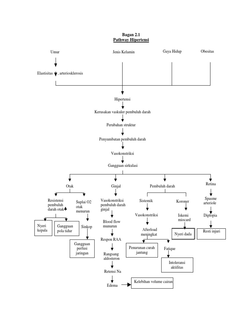 Pathway Hipertensi PDF | PDF