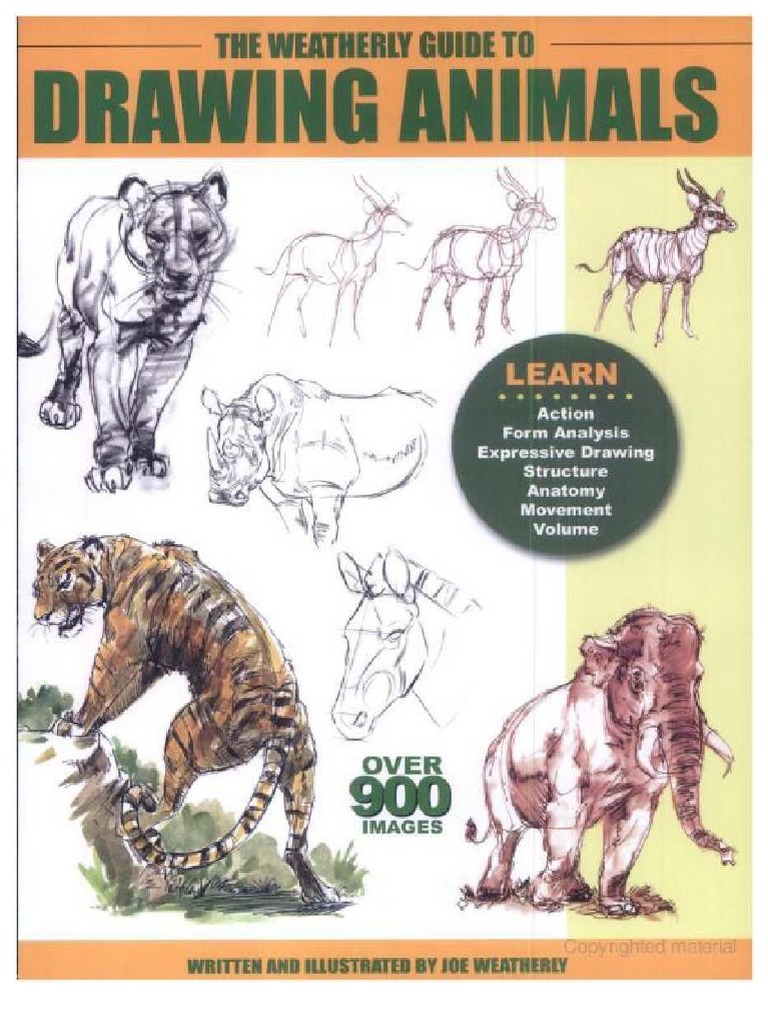 Drawing Animals Joe Weatherly PDFPDF PDF | PDF