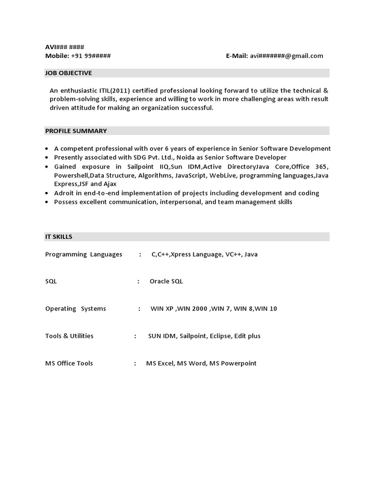 Sailpoint Developer Resume 1 | PDF