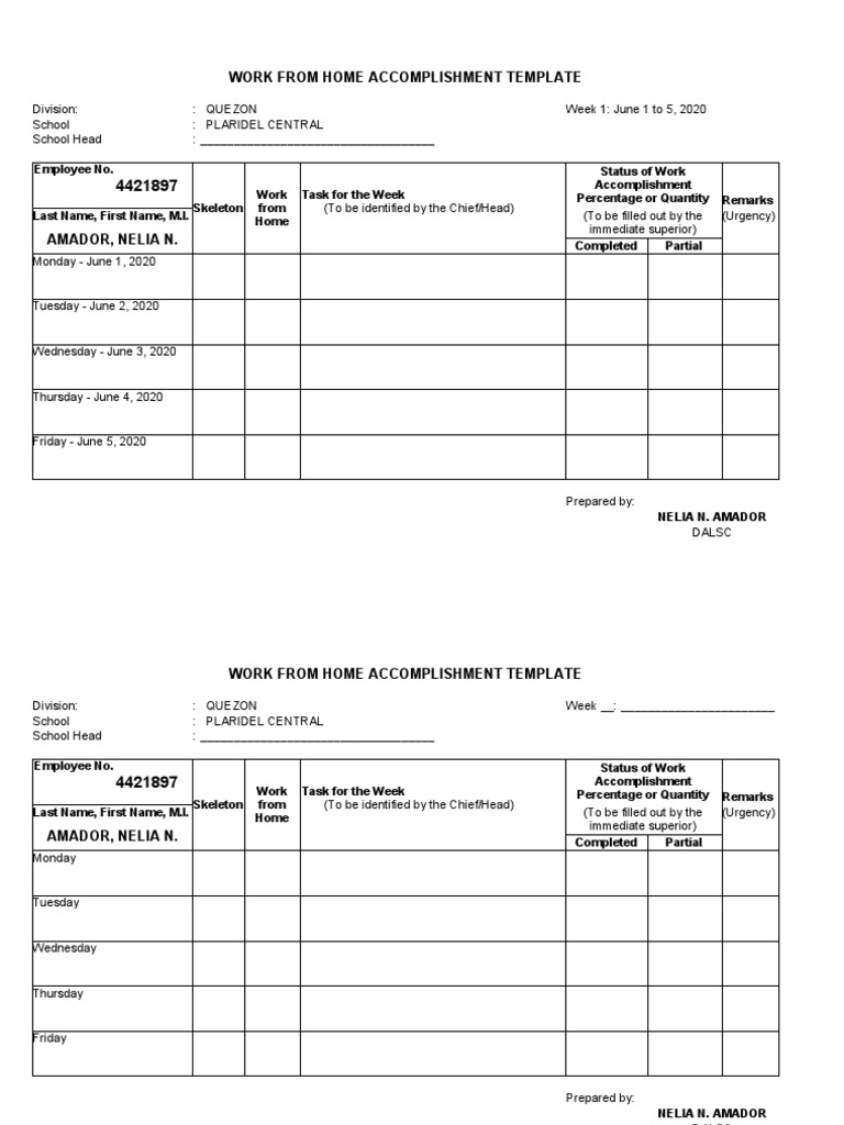 Work From Home Accomplishment Report | PDF