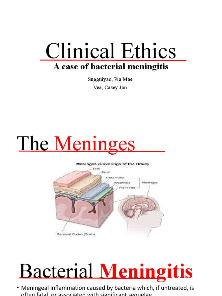 A-Case-Of-Bacterial-Meningitis Final-1 | Download Free PDF | Meningitis | Pneumonia