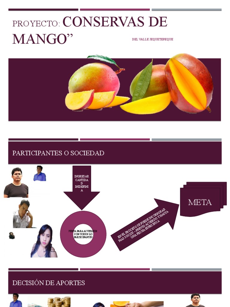 Conserva De Mango Pdf Economias Business