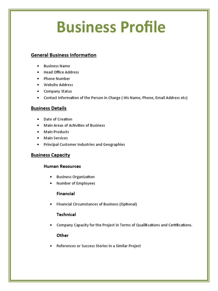 Comprehensive Business Profile Guide | PDF | Business