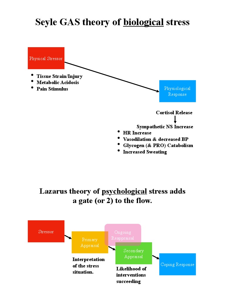 Seyle GAS Theory of Biological Stress: Tissue Strain/Injury Metabolic ...