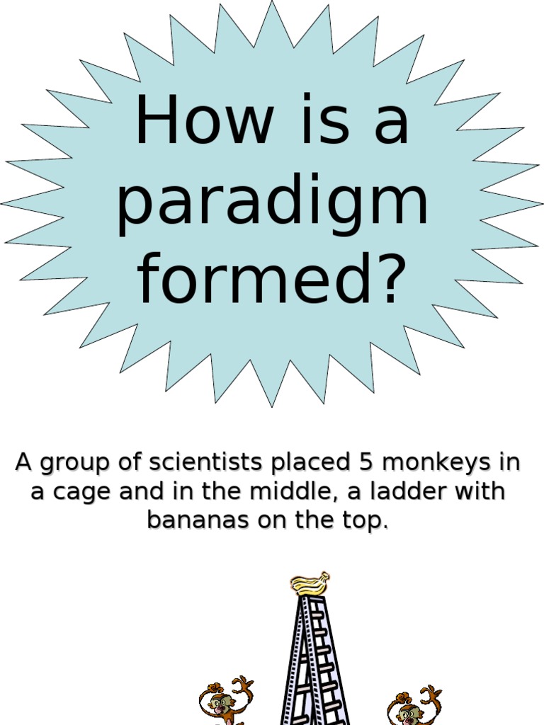 Formation of Paradigms Explained | PDF | Philosophy | Young Adult