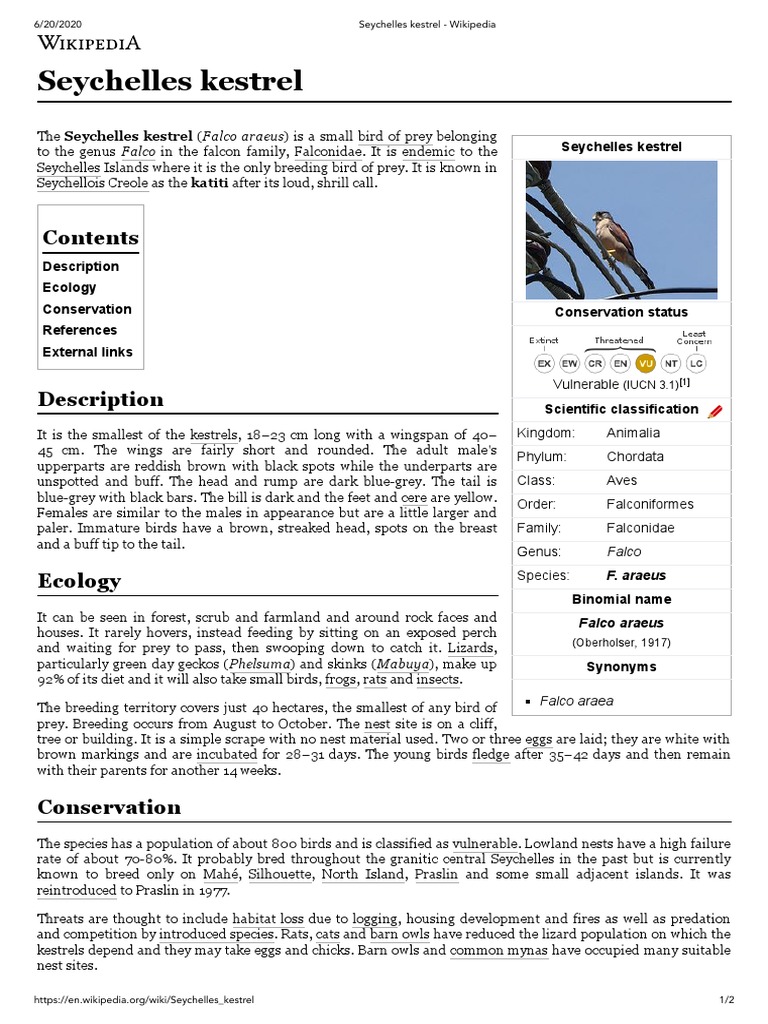 Seychelles Kestrel | PDF | Birds | Paravians