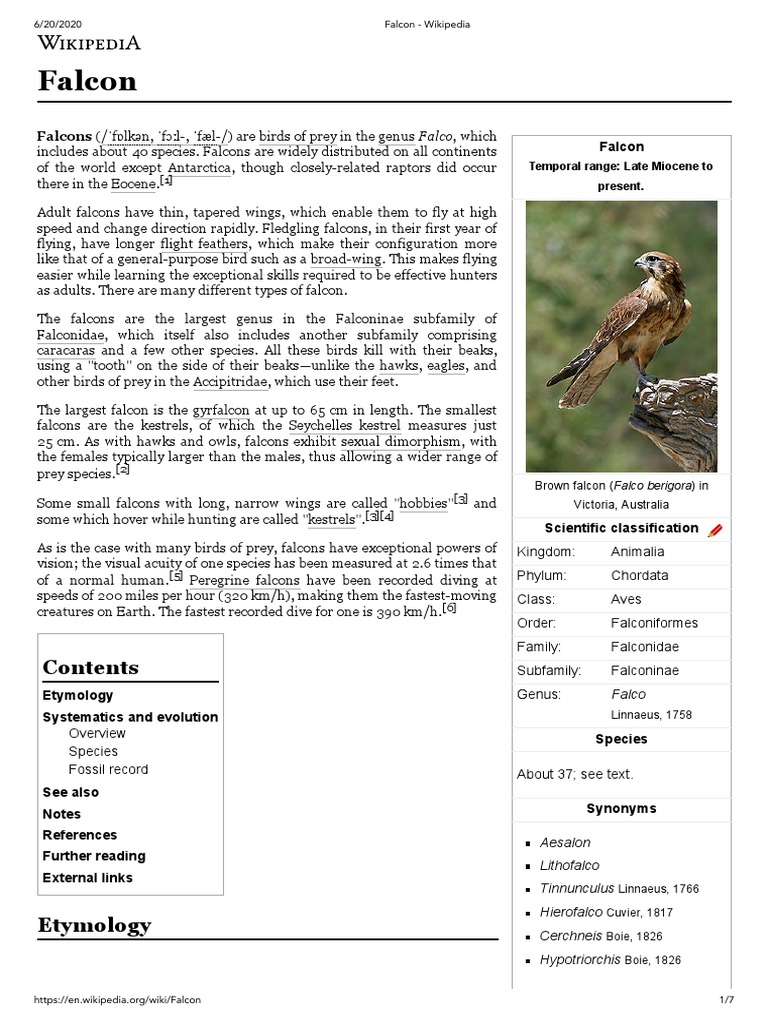 Falcon: Falcon Falcons (/ Fɒlkən, Fɔ L-, Fæl-/) Are Birds of Prey in ...