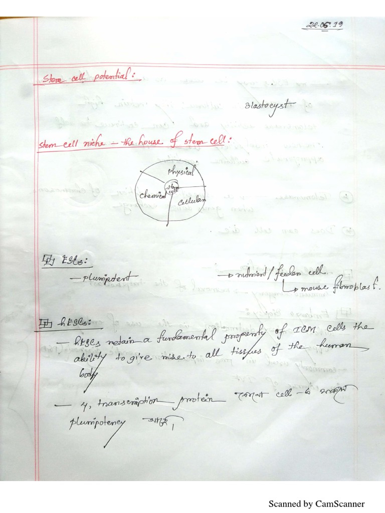 Tissue 07 09 2019 | PDF