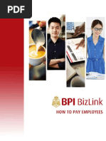 Get Started With BPI BizLink Video Links | PDF