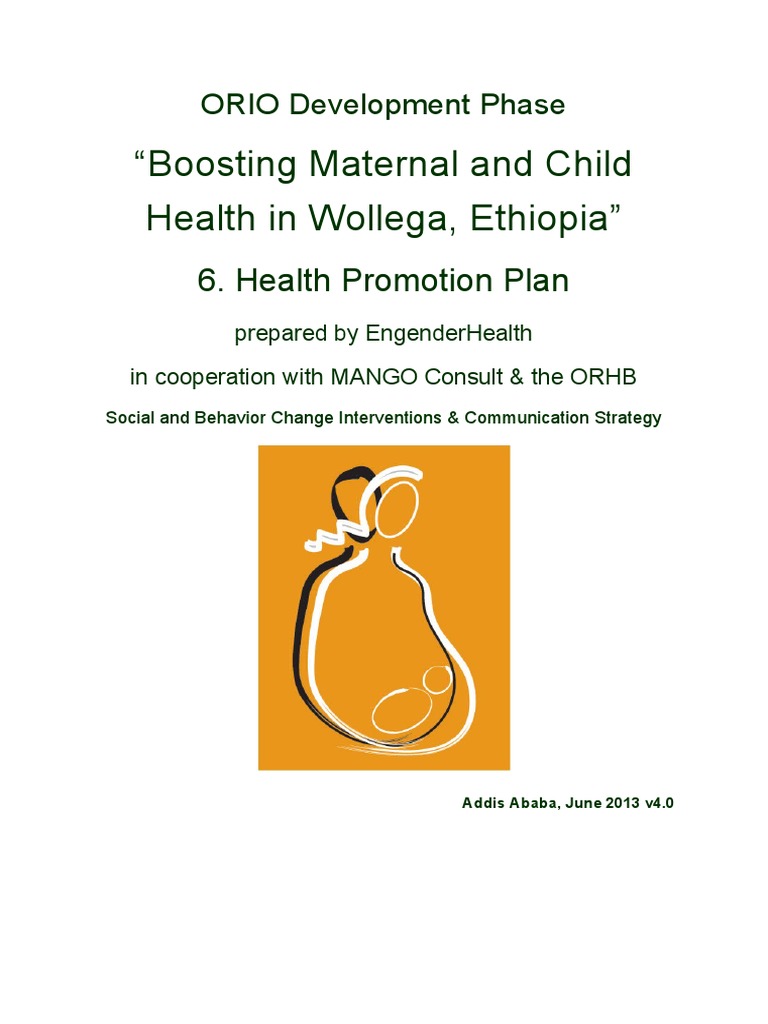 6 Health Promotion Plan v4 1 | PDF | Maternal Health | Childbirth