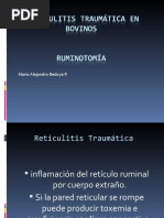 Abomasitis Micotica | PDF | Estómago | Úlcera péptica